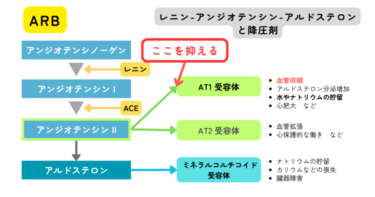 ARB：特徴と注意点 | わきさかクリニック 循環器内科・内科